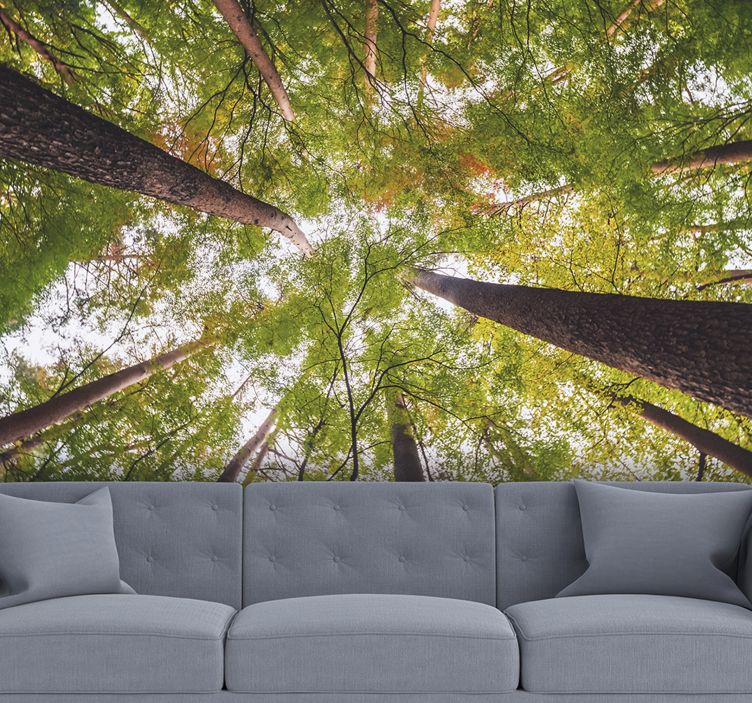 Big trees in woodland landscape wall mural - TenStickers